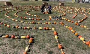 Labyrinth Research - The Labyrinth Society